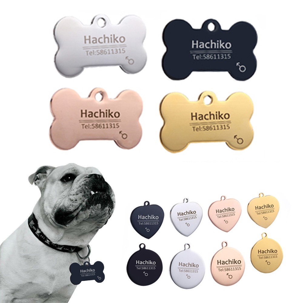 Cuáles Son Las Mejores Placas De Identificación Para Perros