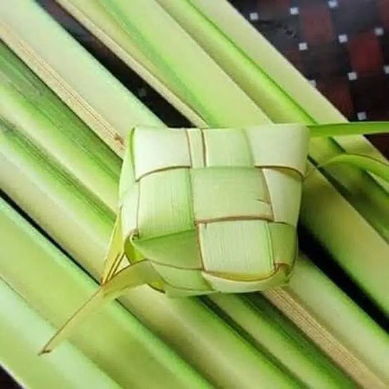 Super hoja de coco/hoja de rombo | Shopee México
