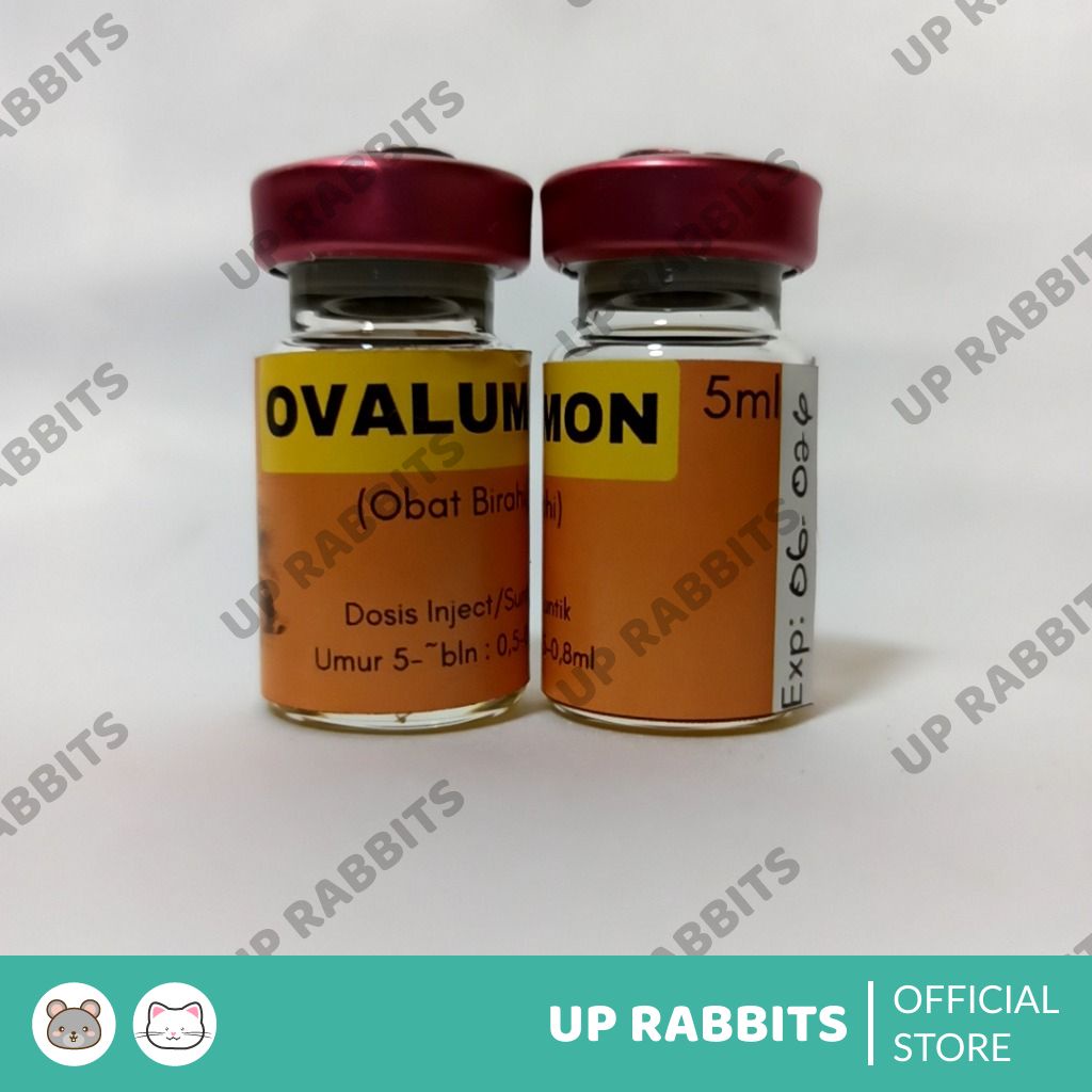 Ovalumon Inyectar 5ml Medicina Para El Matrimonio De Conejo Jeringa ...