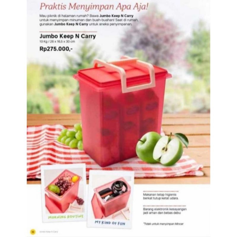 Tupperware - Jumbo Keep N Carry 10kg | Shopee México