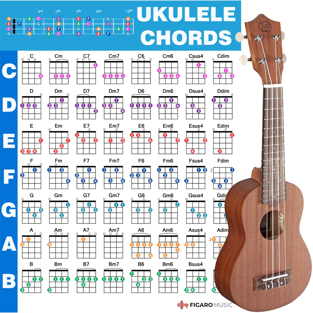 Ukulele Acordes Cartel Guía De Referencia Educativa Para Principiantes ...