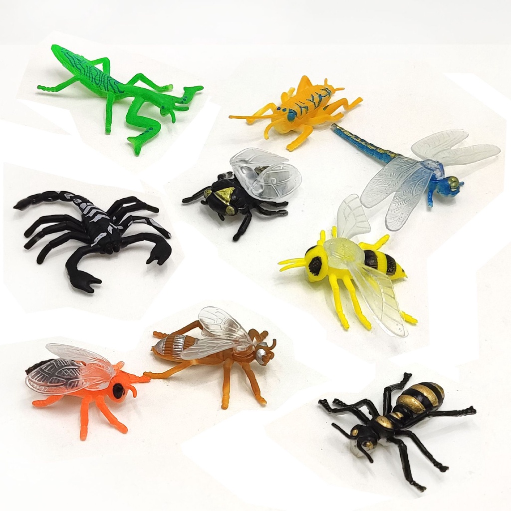 12 mini Modelo De Insectos Educativos Cognitivos Para Niños Juguetes De ...