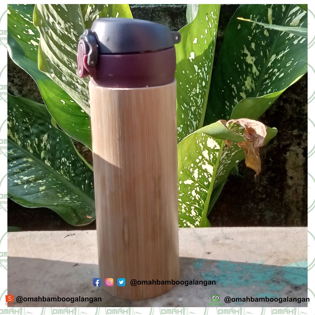 TERMOS Thermos Termo De Bambú De 350 ml , De Capacidad , Mini Modelo ...