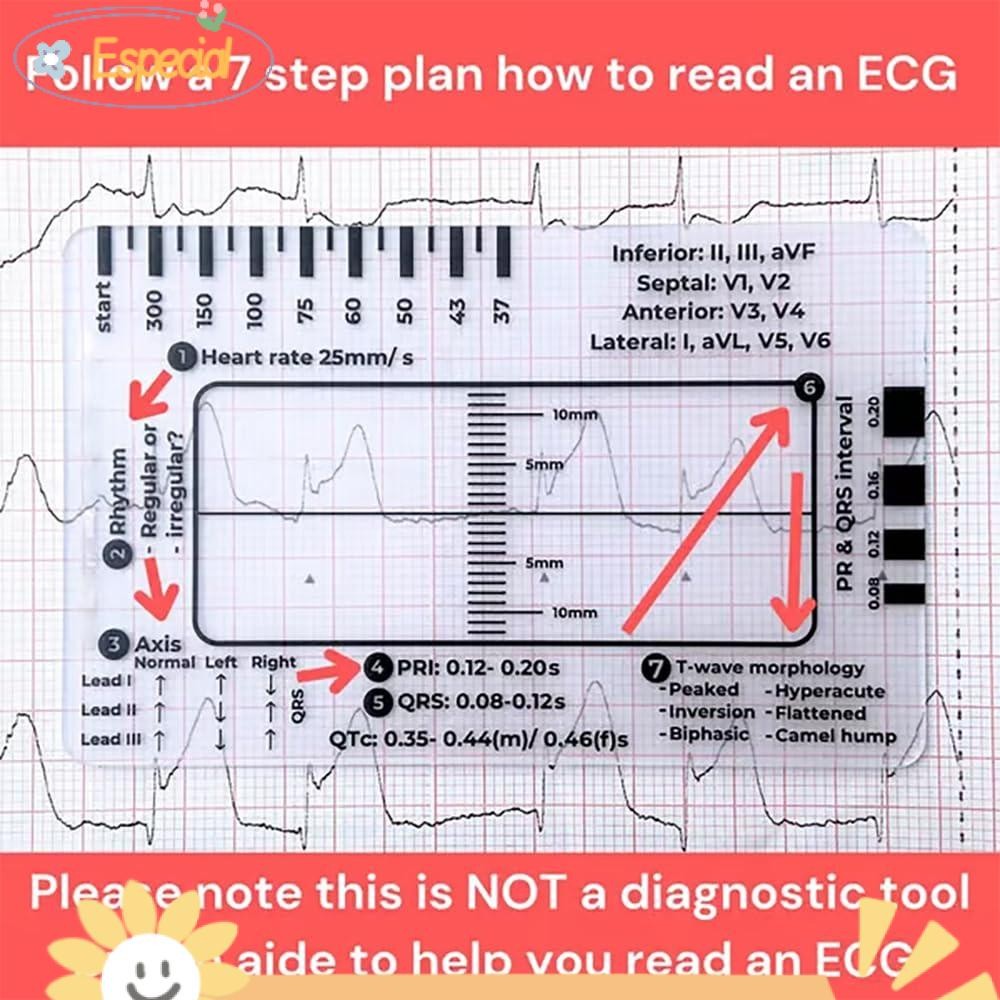 Pinzas Especiales EKG , Regla Portátil Transparente Para ECG De 7 Pasos , Herramienta De ...