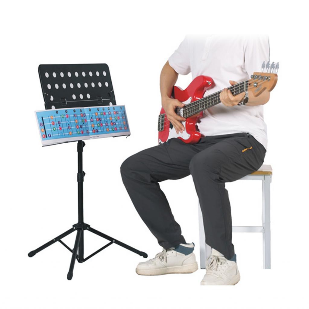 Bass Guitar Fretboard Note Chart Color Coded Quick Learning 4 String US | Shopee México