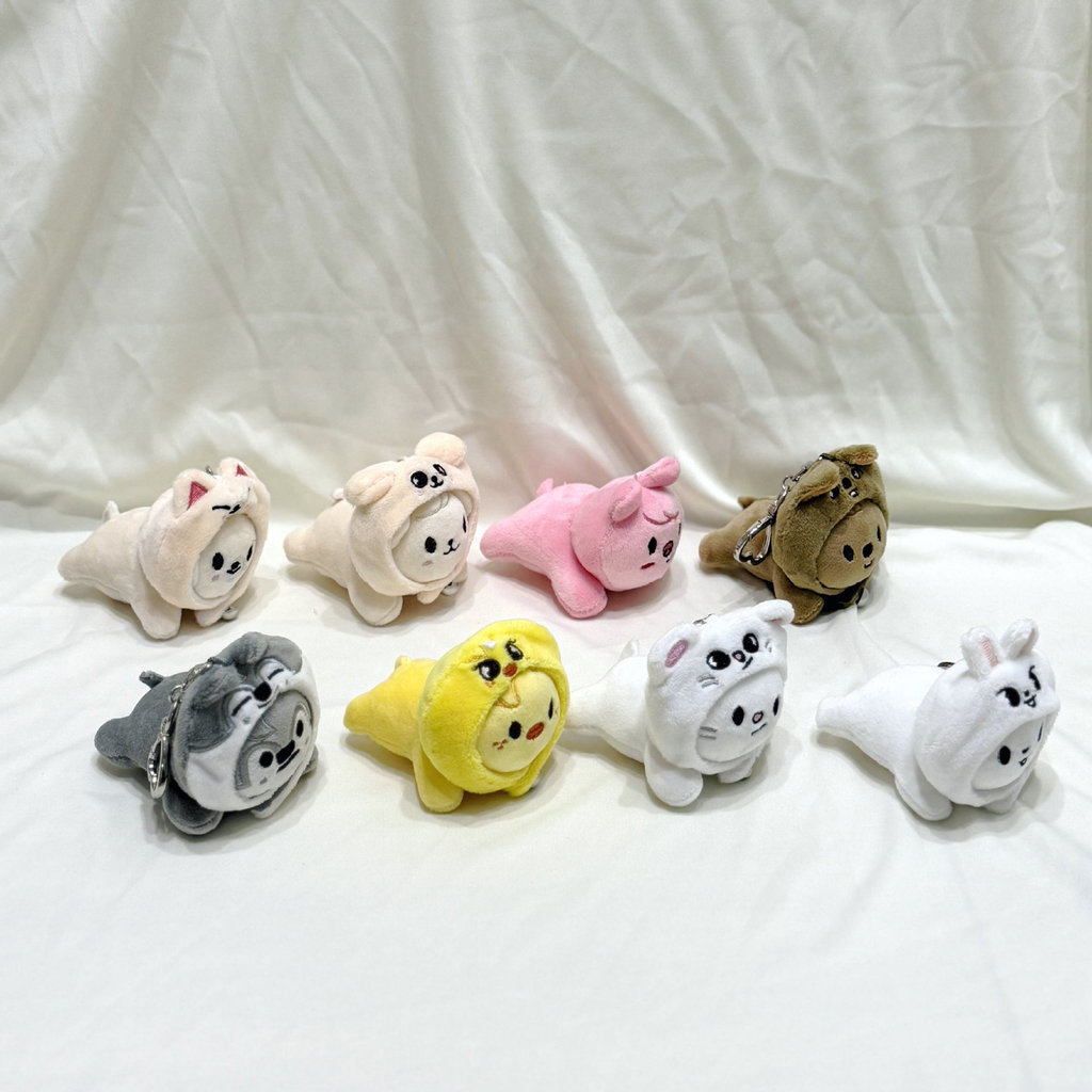 Kpop Ídolo Stray Kids Dominando Celecorpiñollavero De Peluche Te SKZOO ...